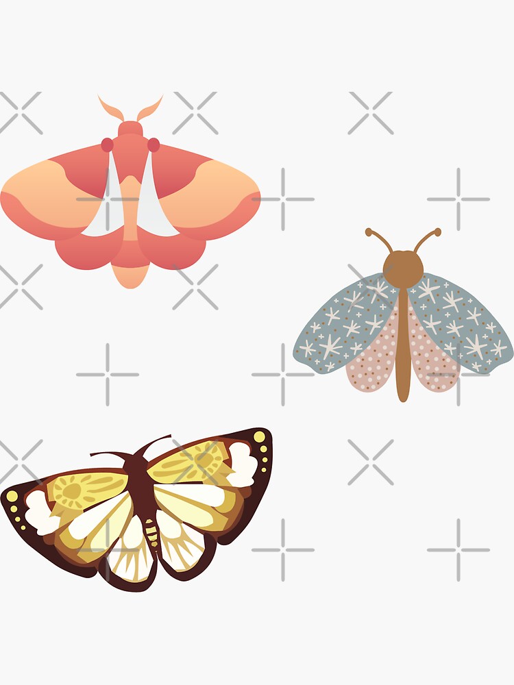"National Moth Week" Sticker by Winter--Flowers | Redbubble