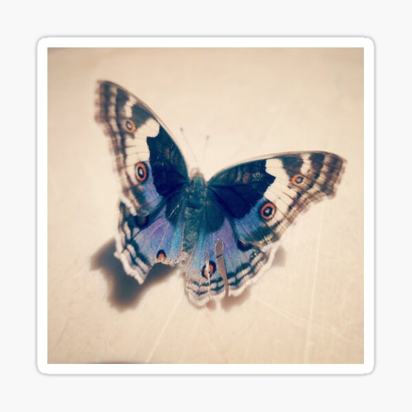 "KEEP FLYING" Sticker by MallsD | Redbubble