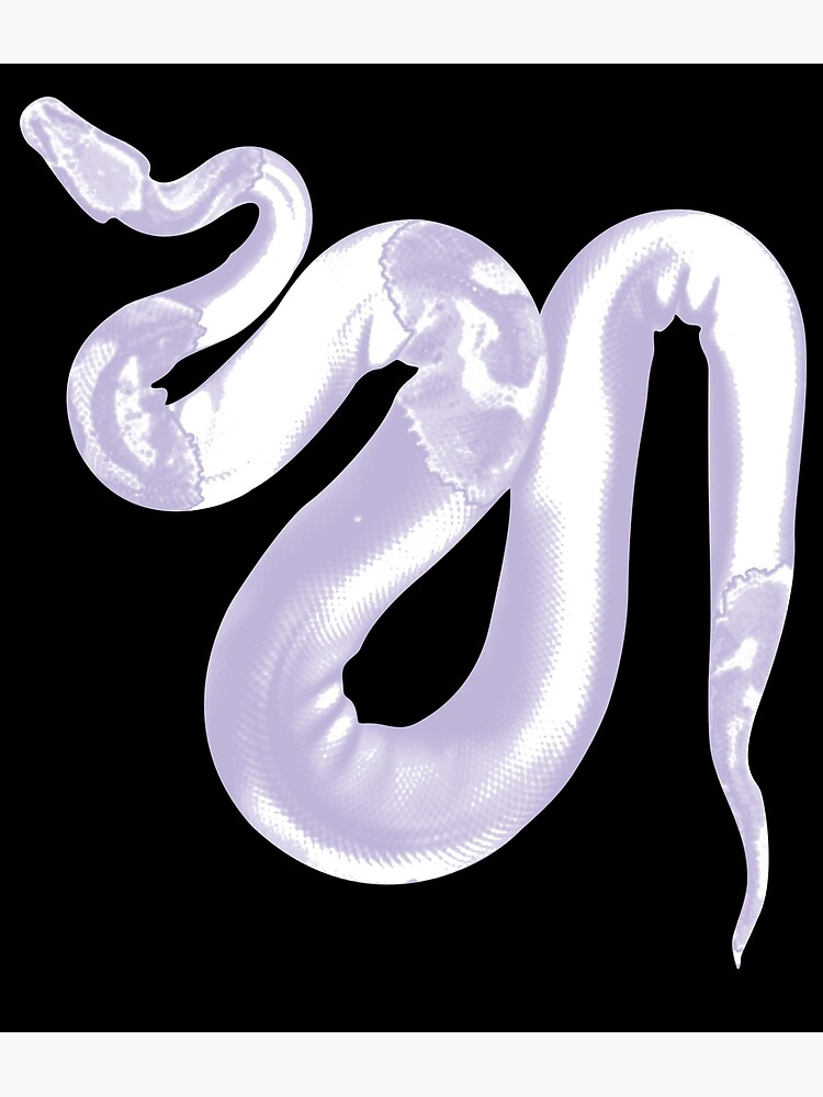 "the purple python" Poster for Sale by spacepython | Redbubble