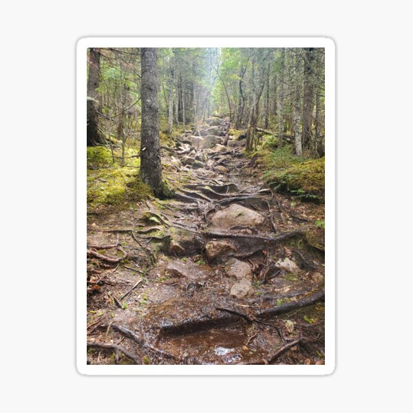 " Technical trail" Sticker by aonyxarts | Redbubble