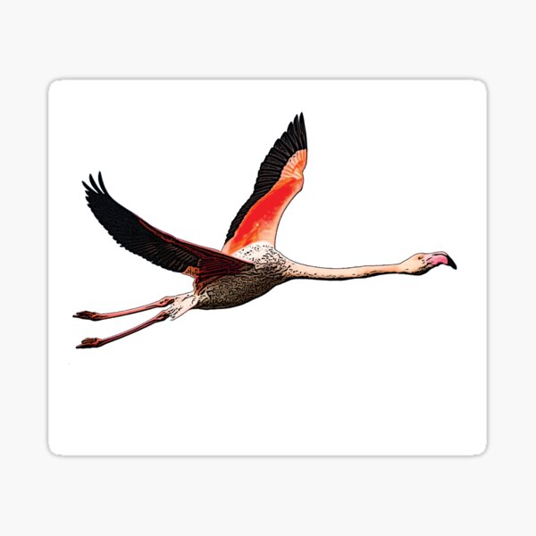 "Bird flying." Sticker for Sale by youvisionart | Redbubble