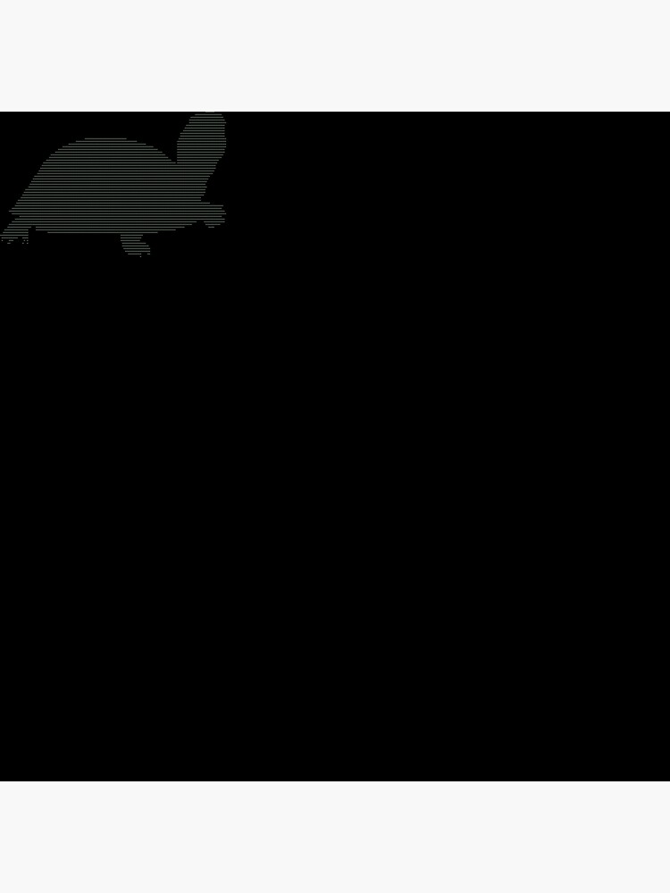 Lámina fotográfica «Turtle puede correr rápidamente en ASCII» de Spirit ...