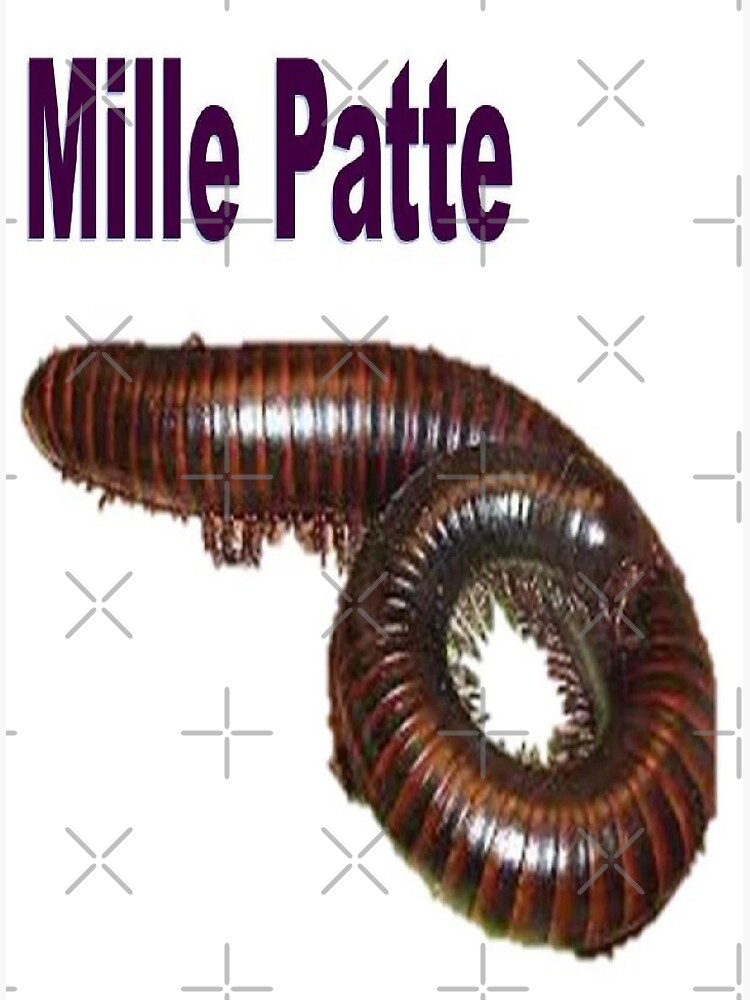 "centipede" Poster by dramenpalyser | Redbubble