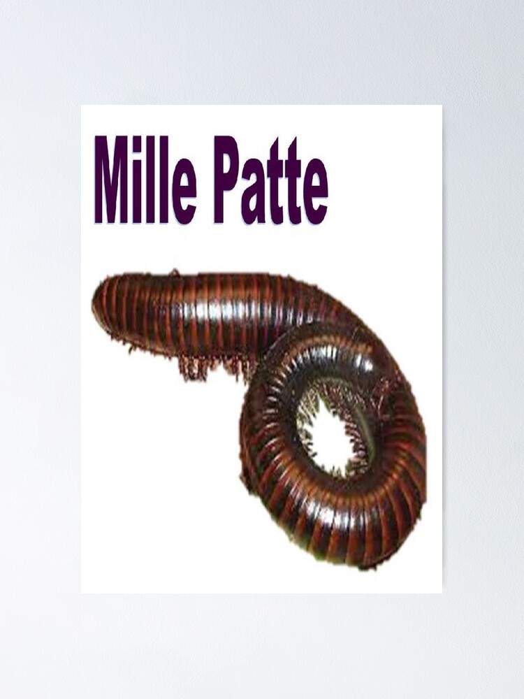 "centipede" Poster by dramenpalyser | Redbubble