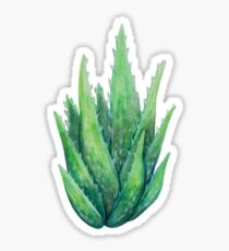 Aloe Vera Stickers | Redbubble