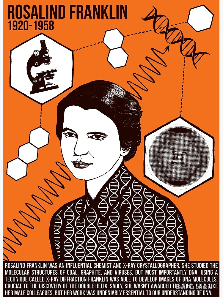 "Illustrating Great Minds - Rosalind Franklin" Poster for Sale by ...