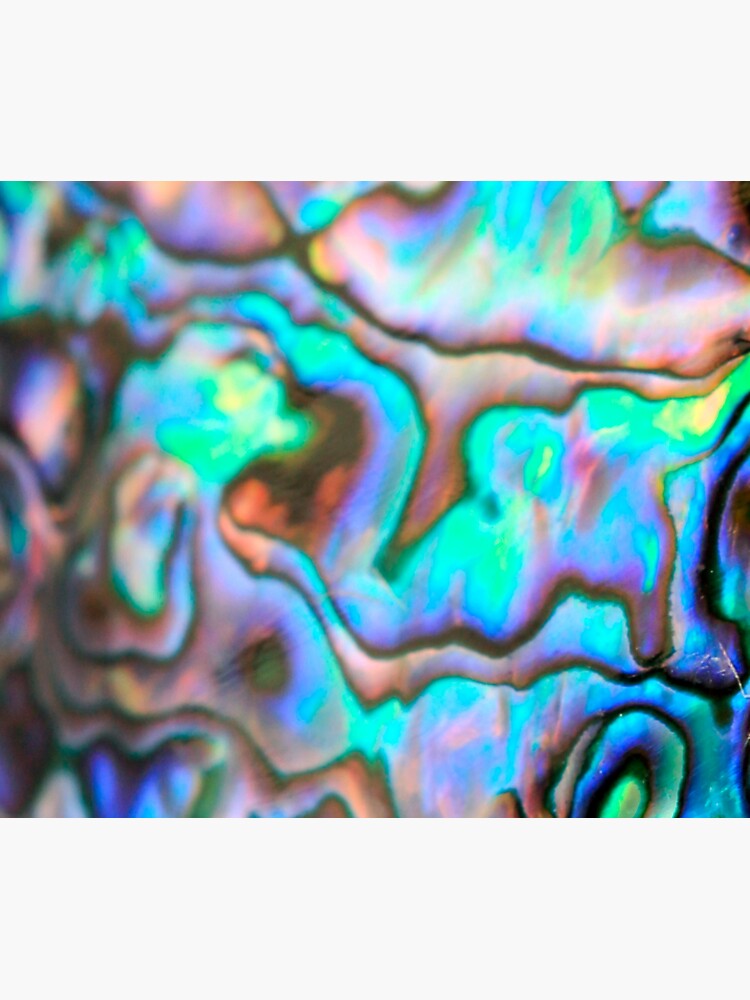 "Abalone Colors" Sticker for Sale by Laurasdesign83 | Redbubble