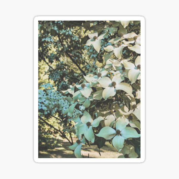 "Flower Tree" Sticker for Sale by FigureAndFold | Redbubble