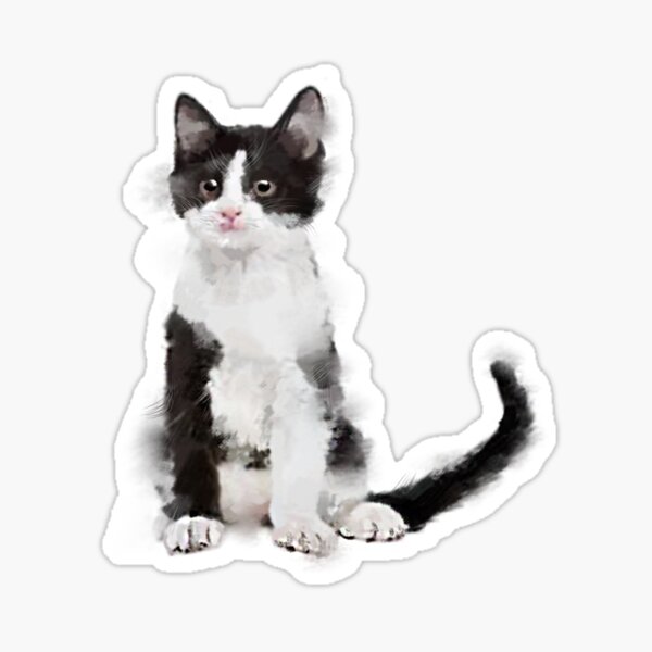 "Hand painted black and white hairy oreo kitten" Sticker for Sale by ...