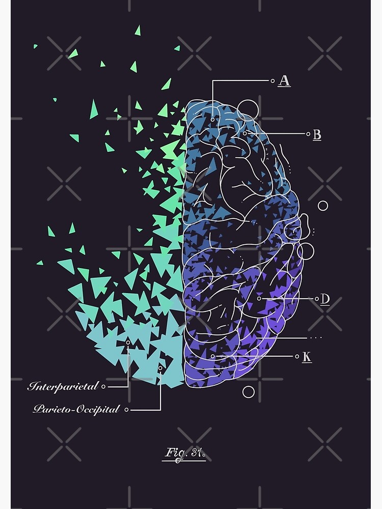 Póster «Anatomia de una mente rota» de OlmosArt | Redbubble