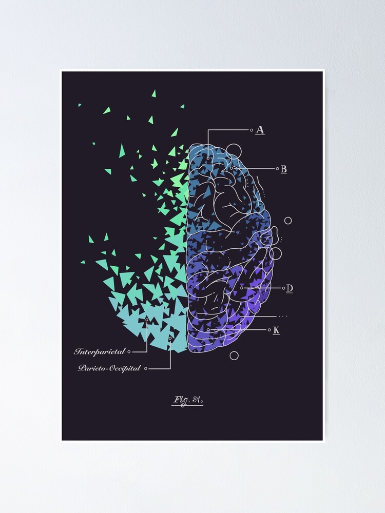 Póster «Anatomia de una mente rota» de OlmosArt | Redbubble