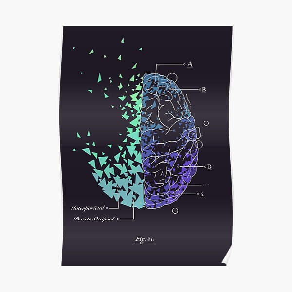 Póster «Anatomia de una mente rota» de OlmosArt | Redbubble