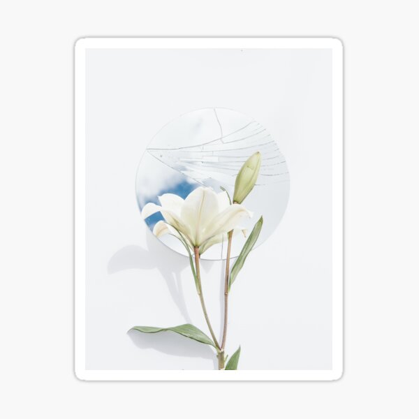 "White Lily" Sticker for Sale by Hexagon98 | Redbubble