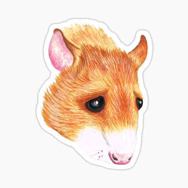 "concerned rat" Sticker by mindgoop | Redbubble
