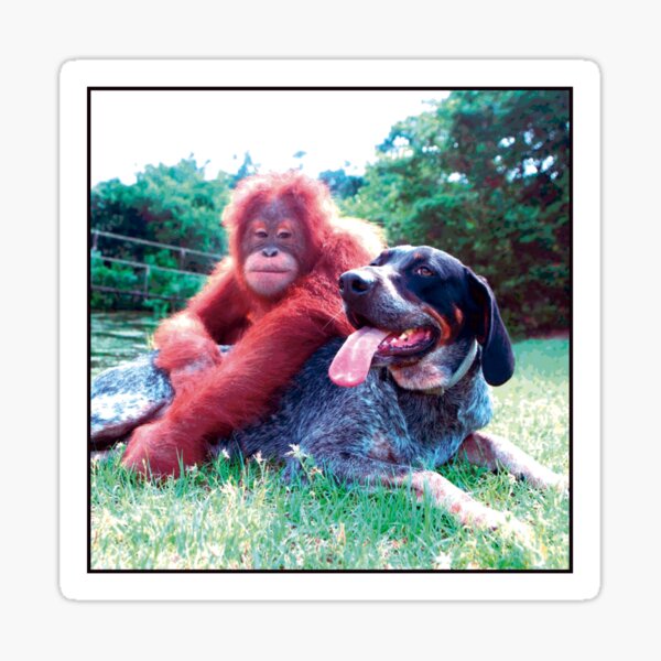 "Orangutan and Dog Being Friends" Sticker for Sale by MehranZetzsche ...