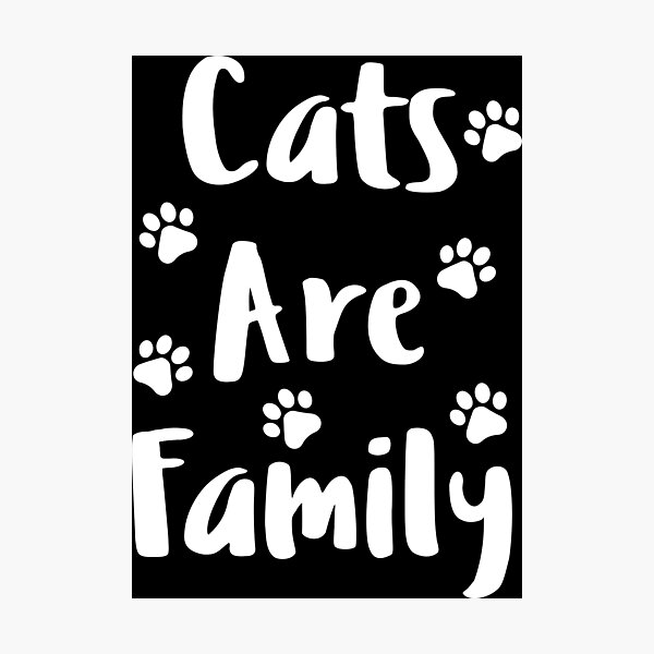 Lámina fotográfica «Los gatos son amantes de las mascotas de los ...