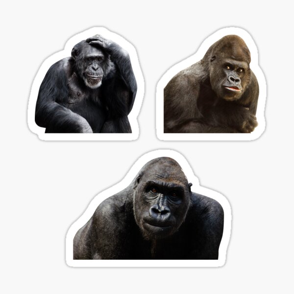 "GORILLA STICKER PACK" Sticker for Sale by Vitsson | Redbubble