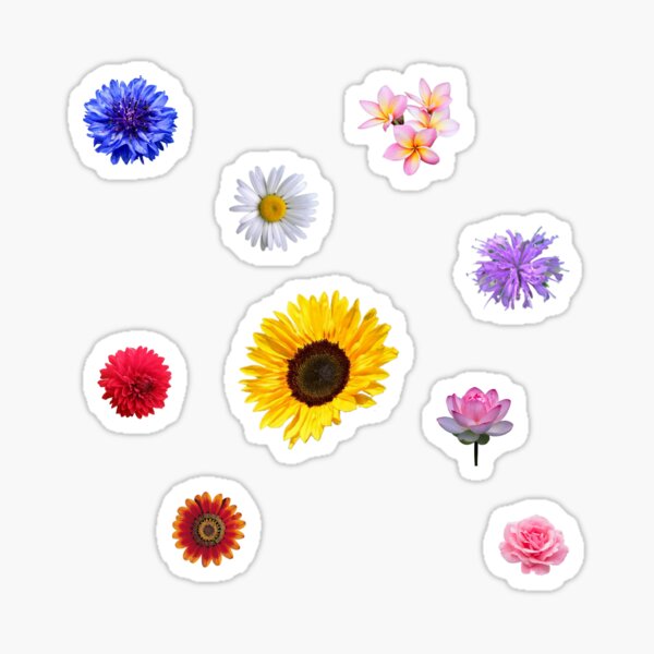 "Summer Flowers" Sticker for Sale by wravelo | Redbubble