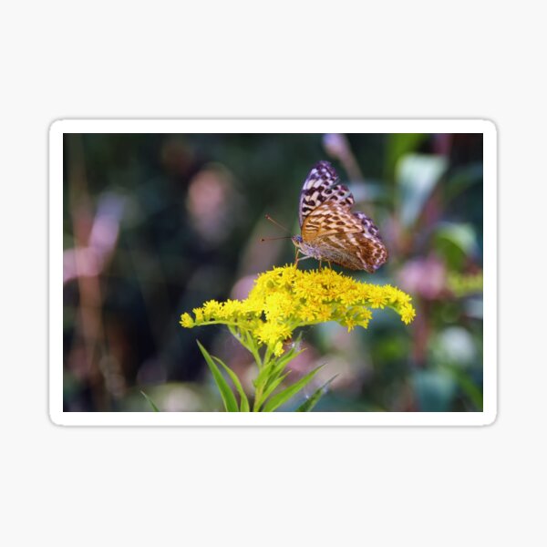 "Sitting Pretty" Sticker for Sale by Kasia-D | Redbubble