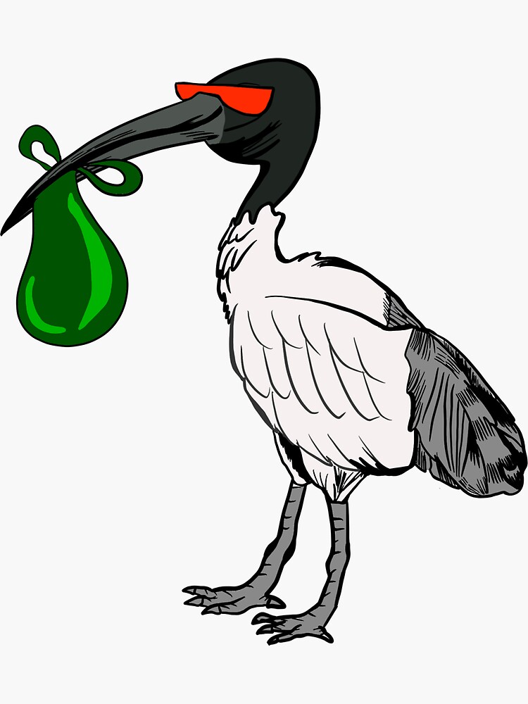 "Bin Chicken (Ibis)" Sticker for Sale by guiffregraphics | Redbubble