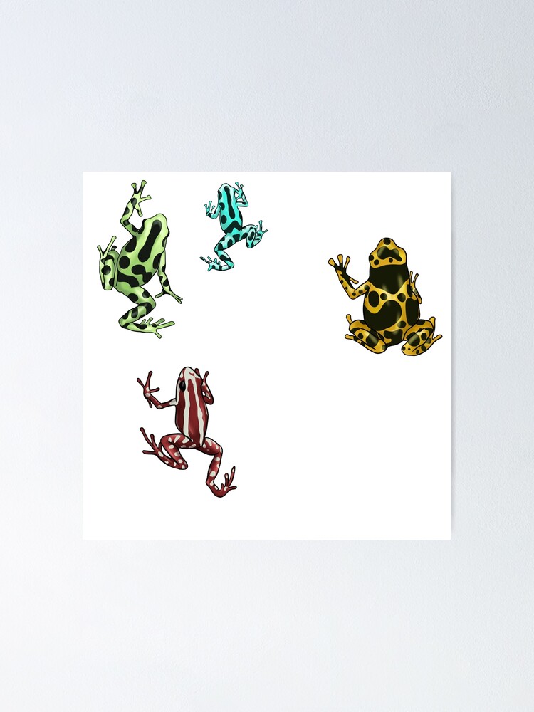 "Poison Dart frog " Poster for Sale by StellaBlue1988 | Redbubble