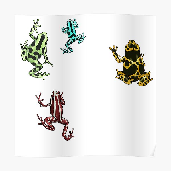 "Poison Dart frog " Poster for Sale by StellaBlue1988 | Redbubble