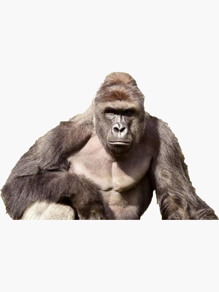 "Harambe" Sticker for Sale by MemerMike | Redbubble