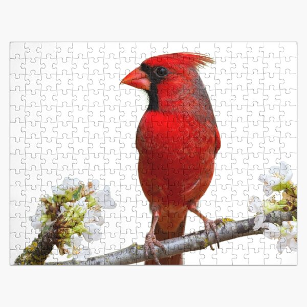 Cardinal Jigsaw Puzzles | Redbubble