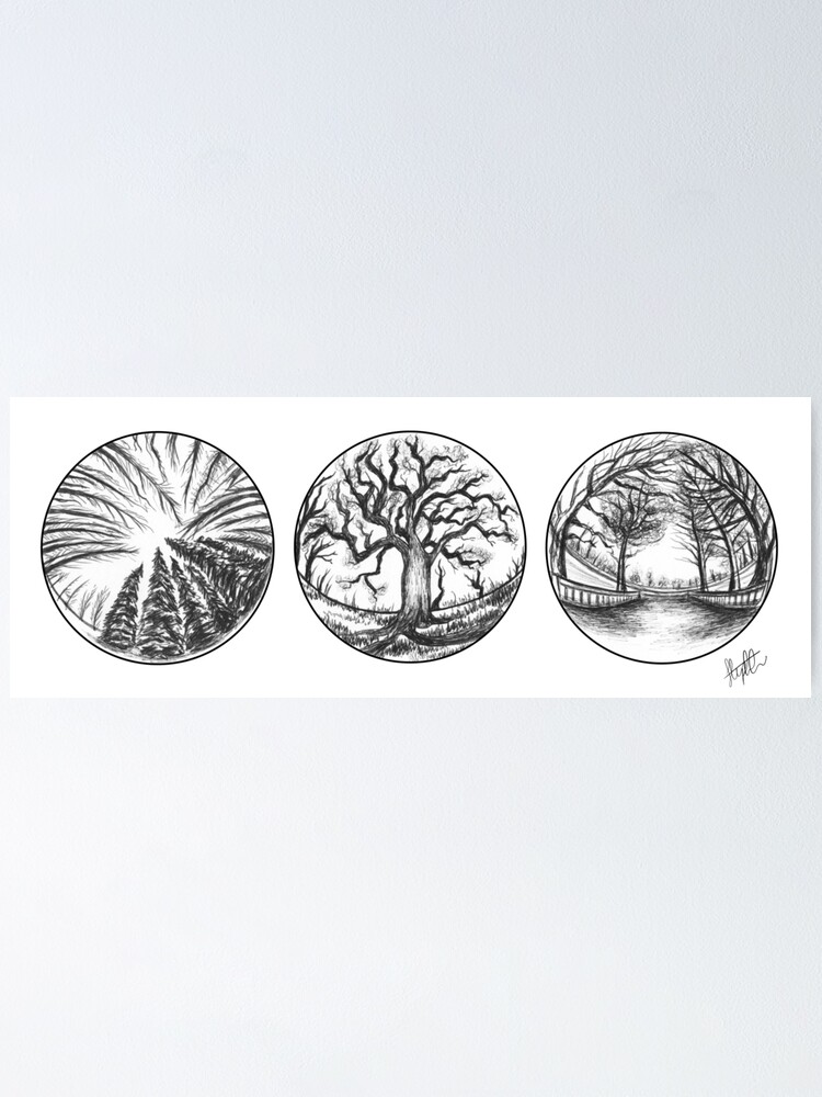 "Three Tree Drawings in Biro Pen" Poster for Sale by StephCarrDesign ...
