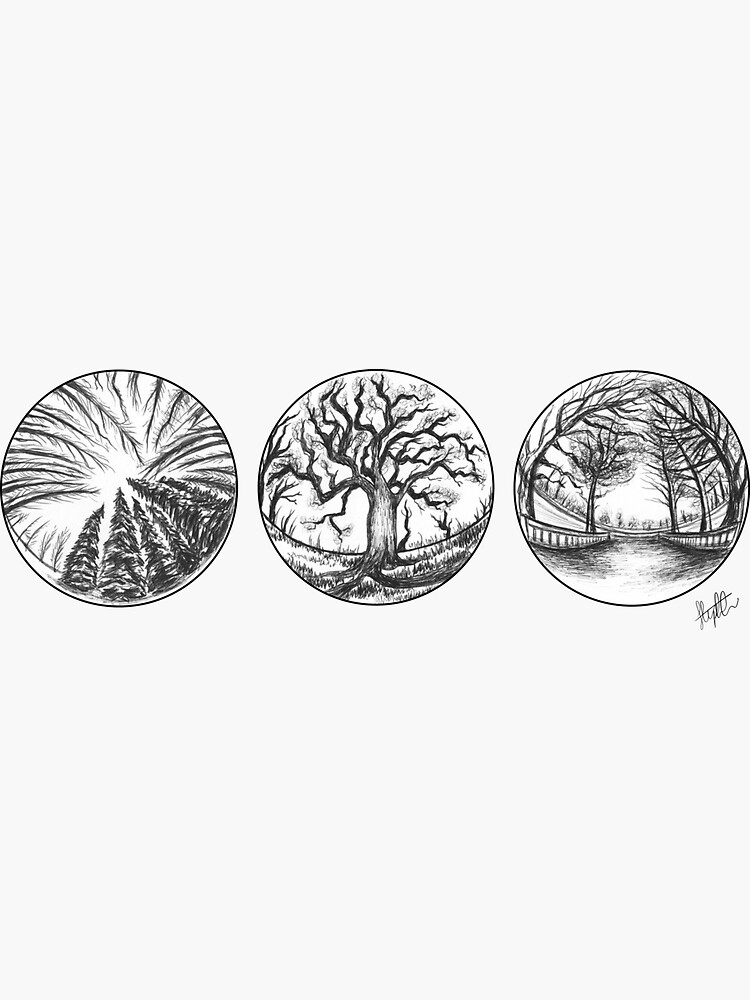 "Three Tree Drawings in Biro Pen" Sticker by StephCarrDesign | Redbubble