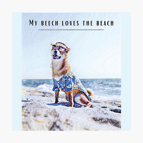 "My Beech Loves the Beach Corgi Funny Abstract Dog Meme" Photographic ...