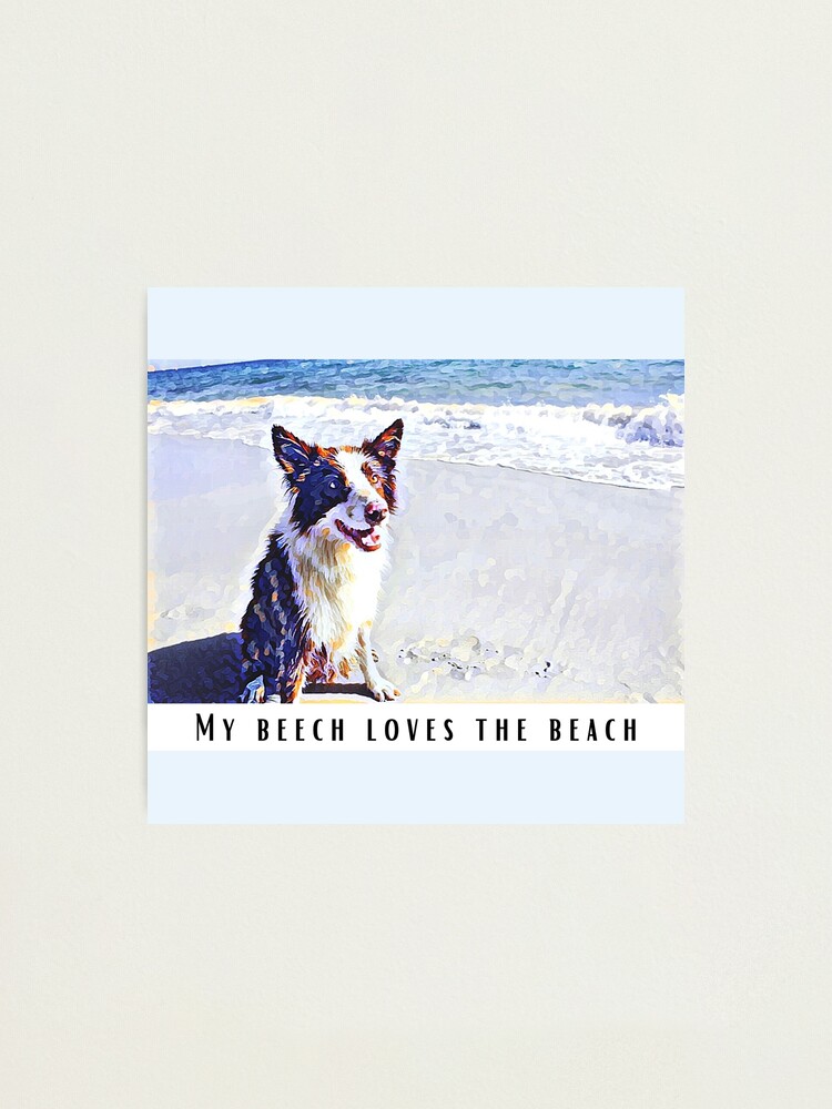 "My Beech Loves the Beach Border Collie Funny Abstract Dog Meme ...