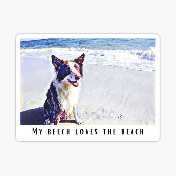 "My Beech Loves the Beach Border Collie Funny Abstract Dog Meme ...