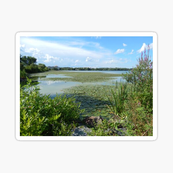 "Lake Quannapowitt Wakefield, MA" Sticker for Sale by MaritzaGoodIdea ...