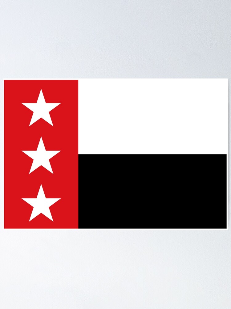 Póster «Bandera de Laredo, Texas y República del Río Grande» de Shav ...