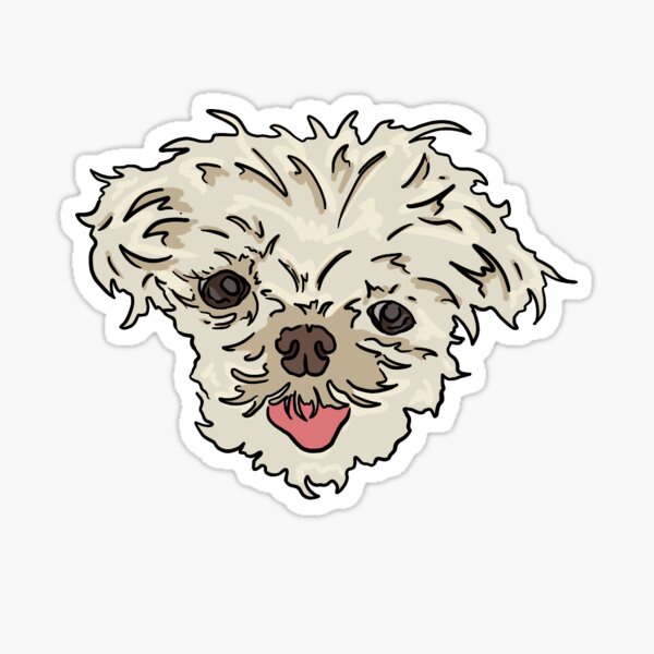 "frank!" Sticker for Sale by frankthadog | Redbubble
