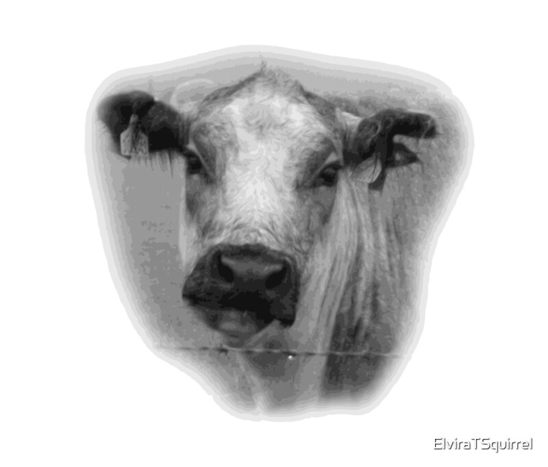 "Ethel the Cow" by ElviraTSquirrel | Redbubble