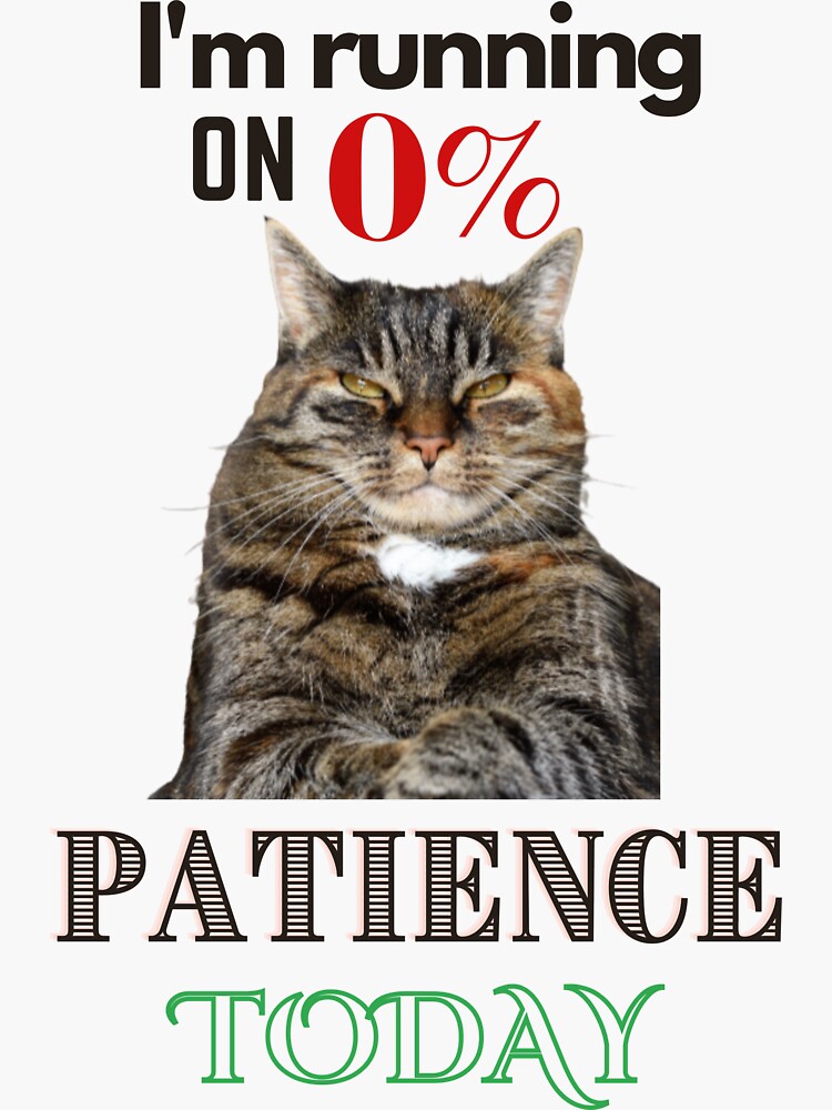 "I'm Running On Zero Patience Today " Sticker for Sale by ATgraphix ...