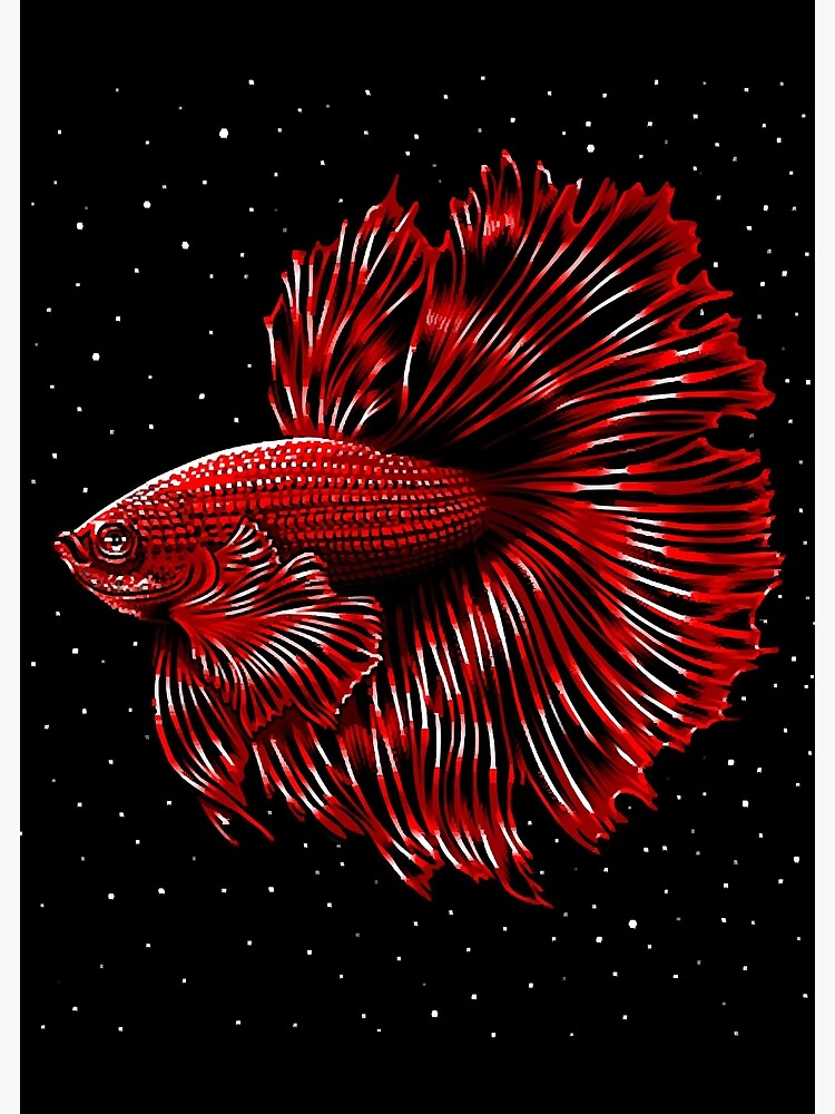 "Betta fish in space " Poster by MinLagares01 | Redbubble