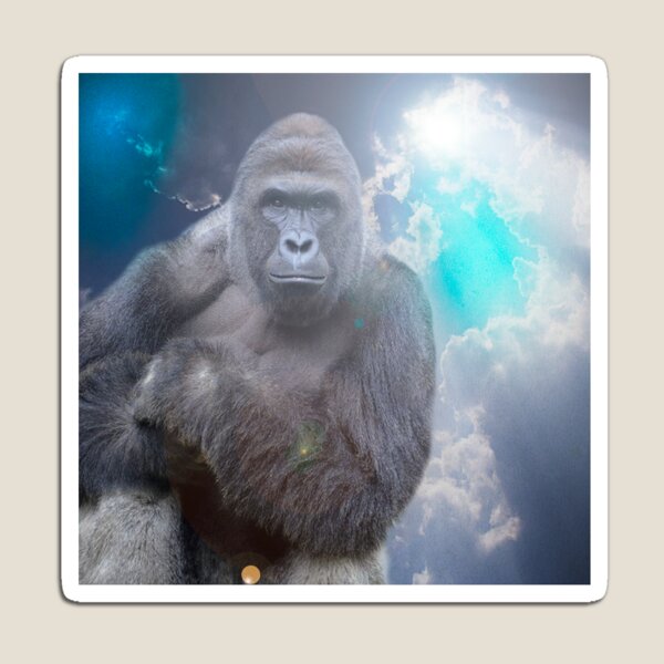 Harambe Love Gifts & Merchandise | Redbubble