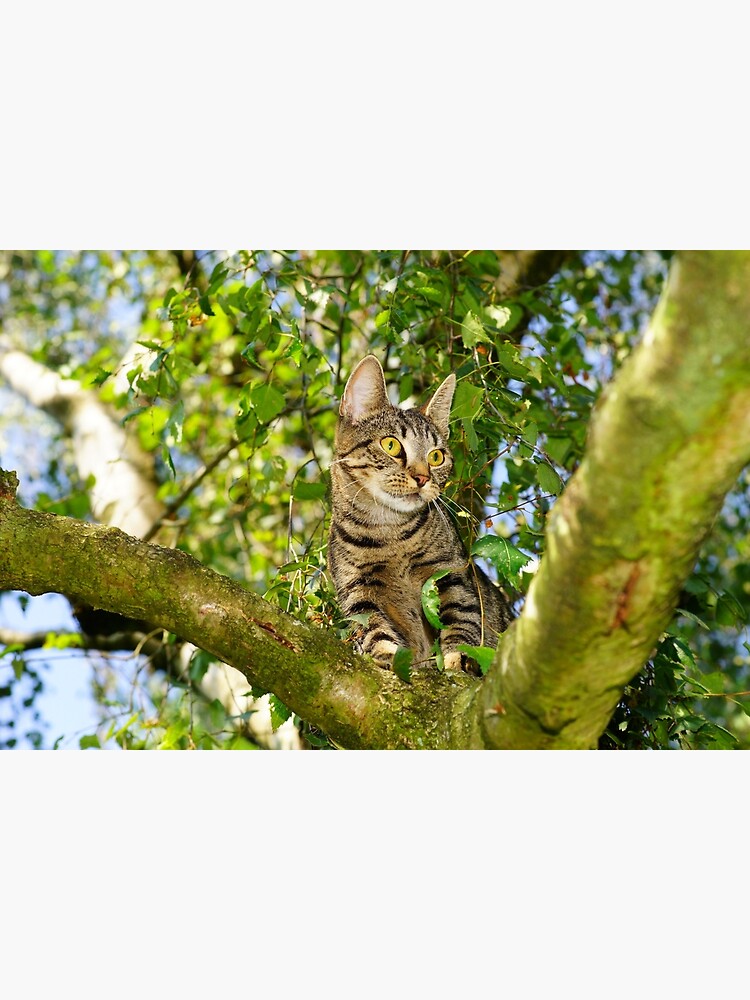 "cute and beautiful pupi look sticker" Poster for Sale by HamidDF ...