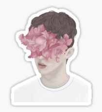 Troye Sivan: Stickers | Redbubble