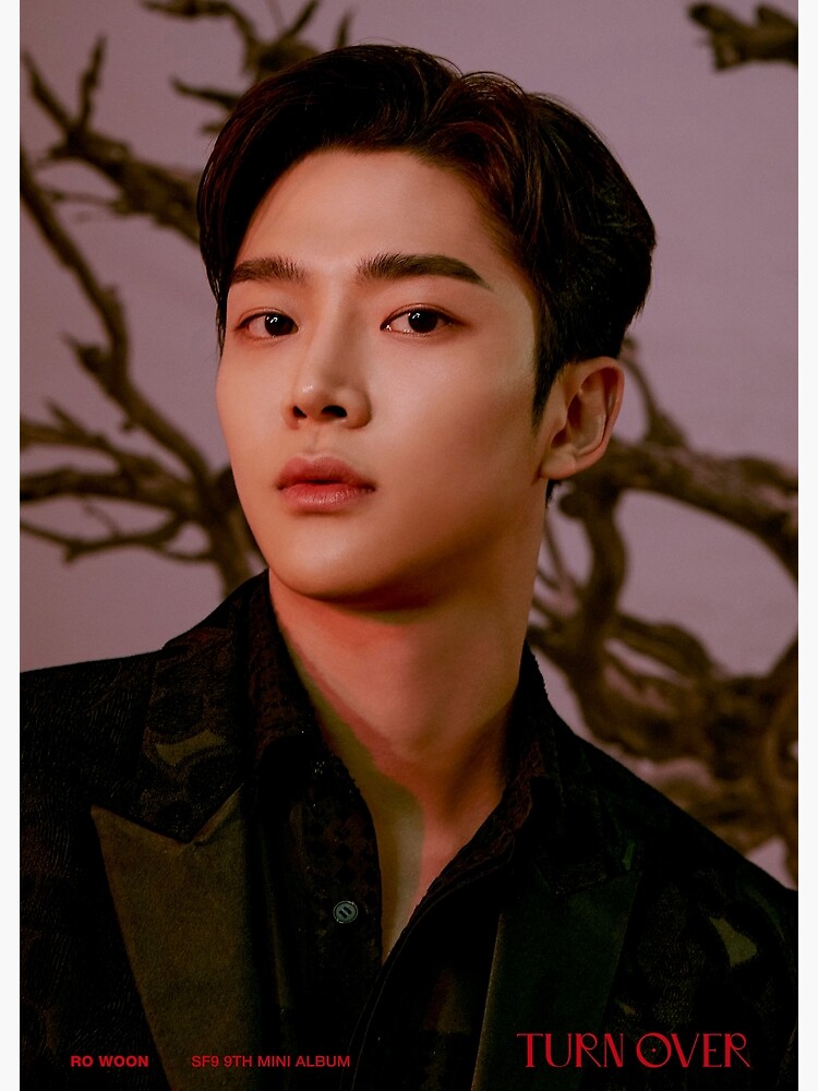"ROWOON SF9 Turn over" Poster for Sale by Twixin | Redbubble