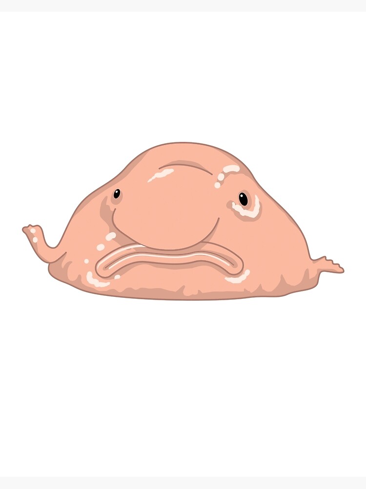 "Blob fish" Poster by pastelandstuff | Redbubble