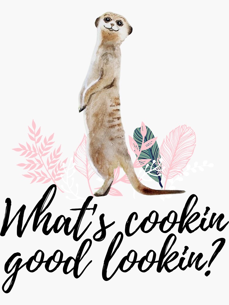 "What's cookin good lookin" Sticker for Sale by lizaanoeschger | Redbubble