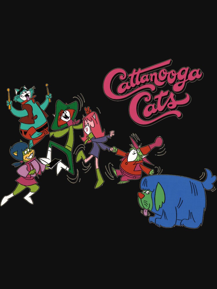 "Cattanooga Cats - Saturday Morning Hong Kong Phooey cartoon karate dog ...