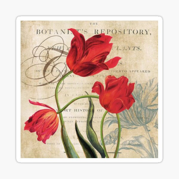 "Botanists Repository" Sticker for Sale by watsonstrozek | Redbubble