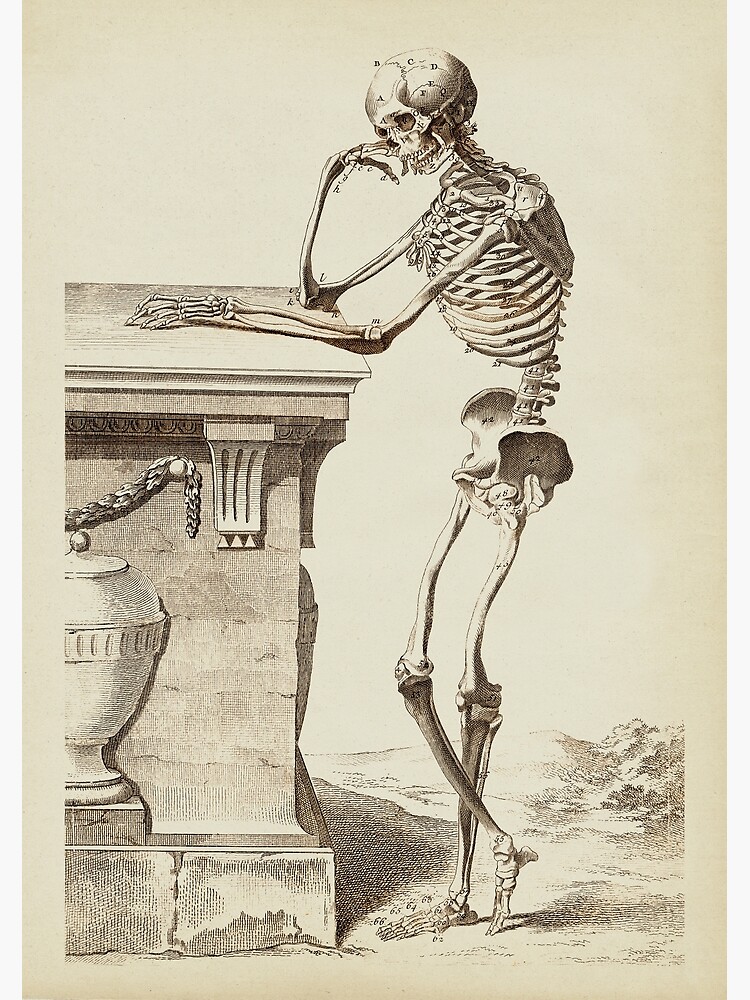 "Thoughtful Skeleton" Poster by LeAllureVintage | Redbubble