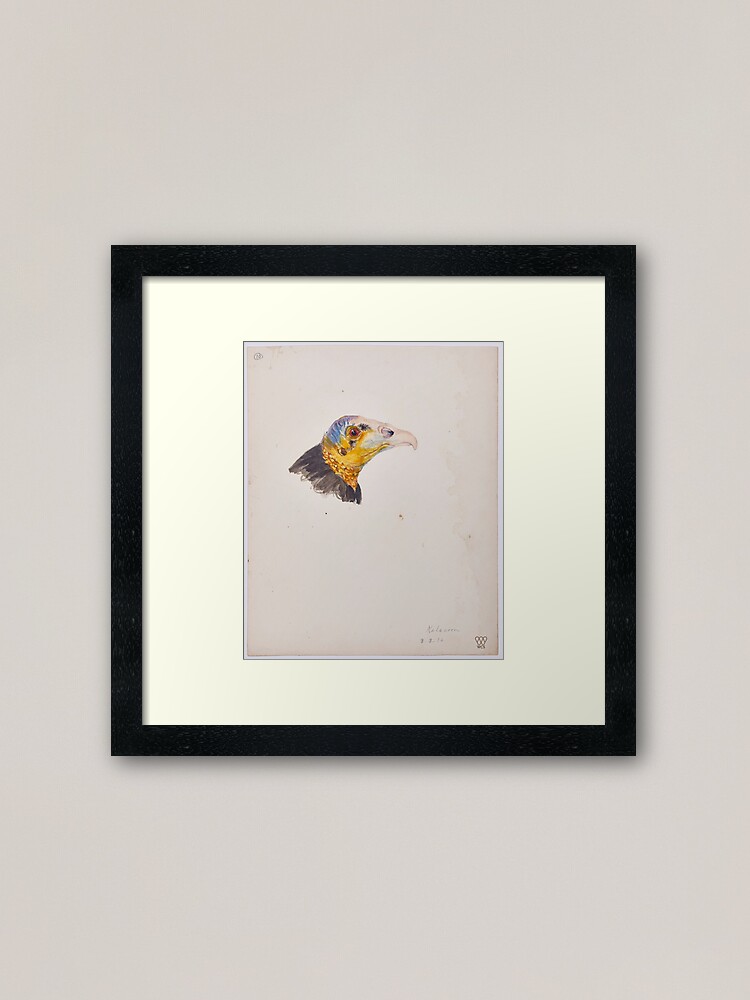 "Vulture" Framed Art Print for Sale by WCS-Archives | Redbubble
