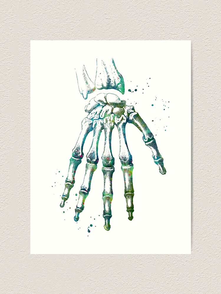 Hand Bone Structure Art